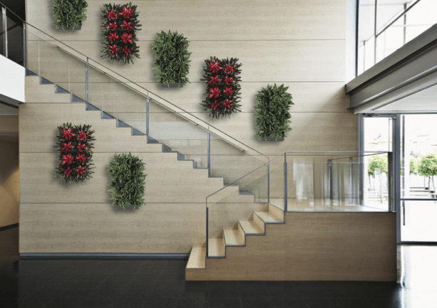 Living Wall – Temecula Plantscape