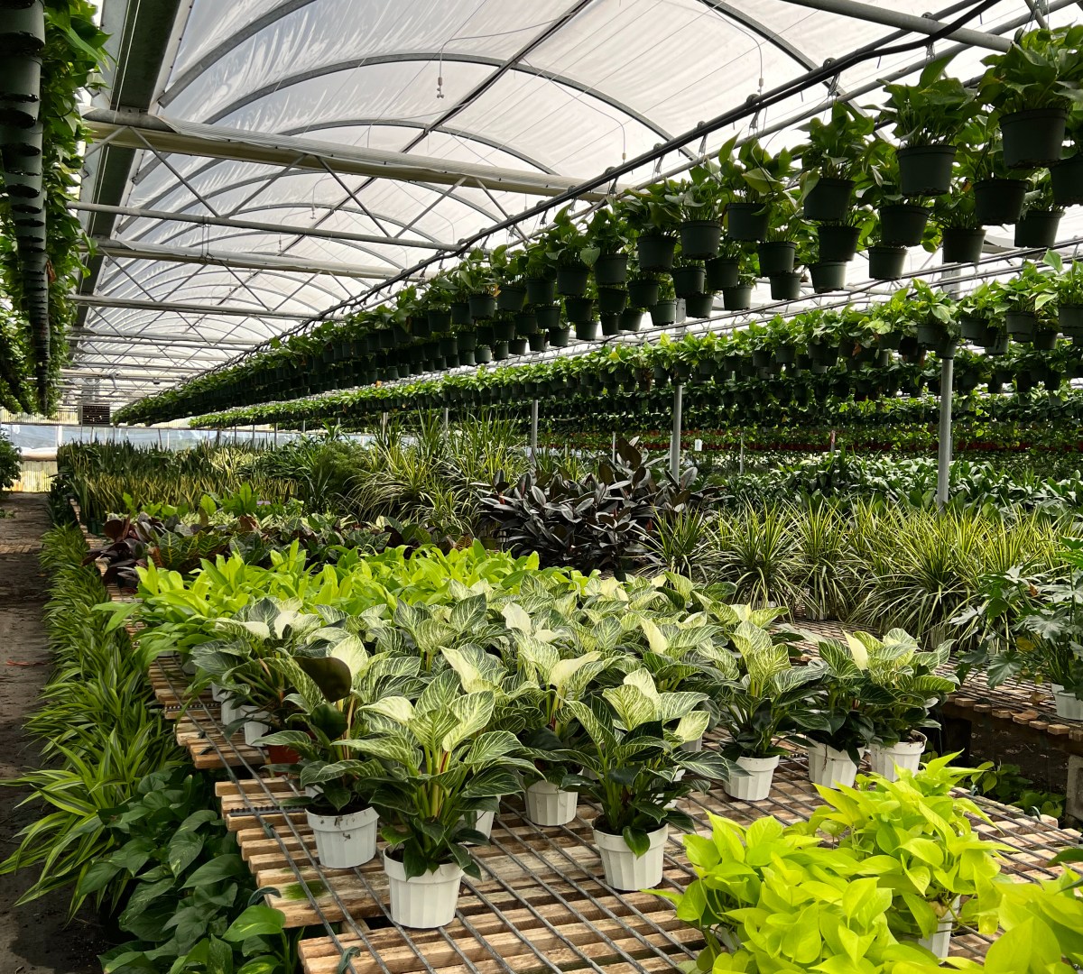 About Us – Temecula Plantscape