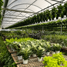 Contact Us – Temecula Plantscape