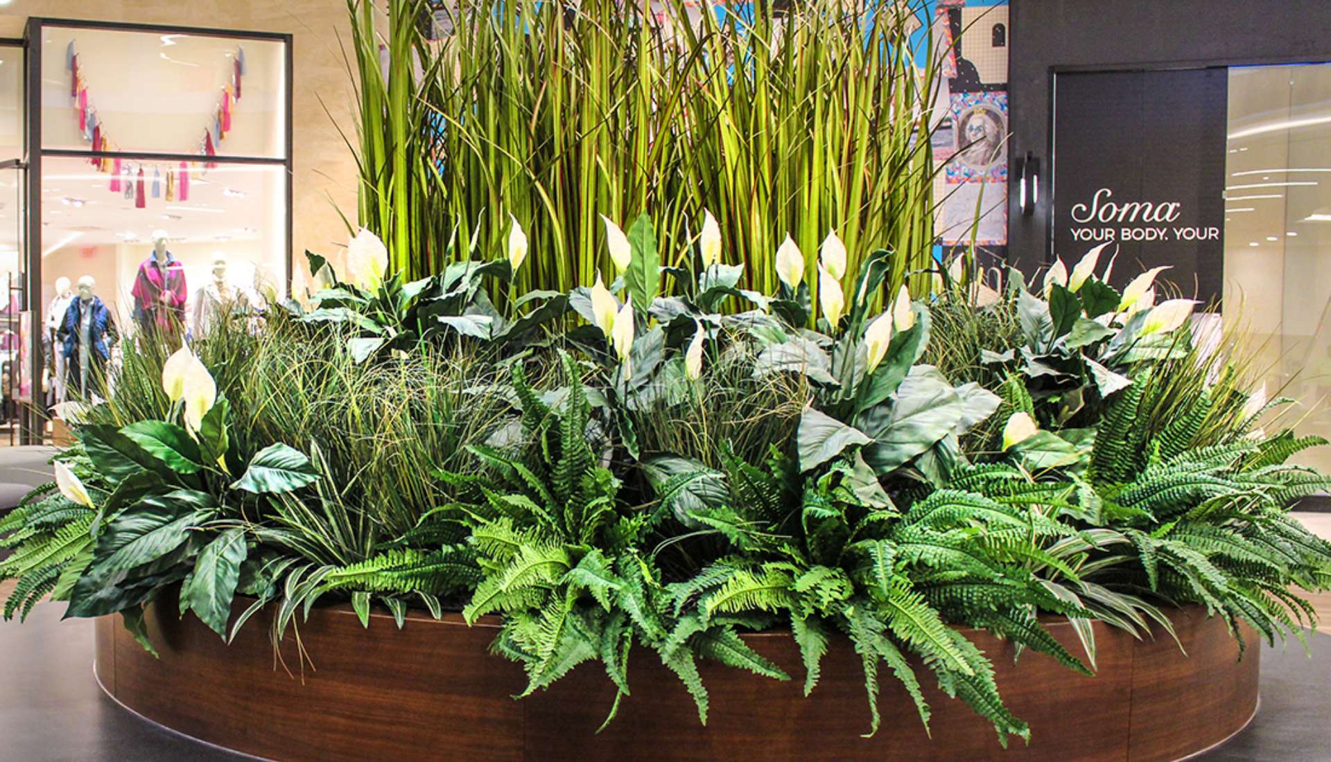 Artificial Plants – Temecula Plantscape
