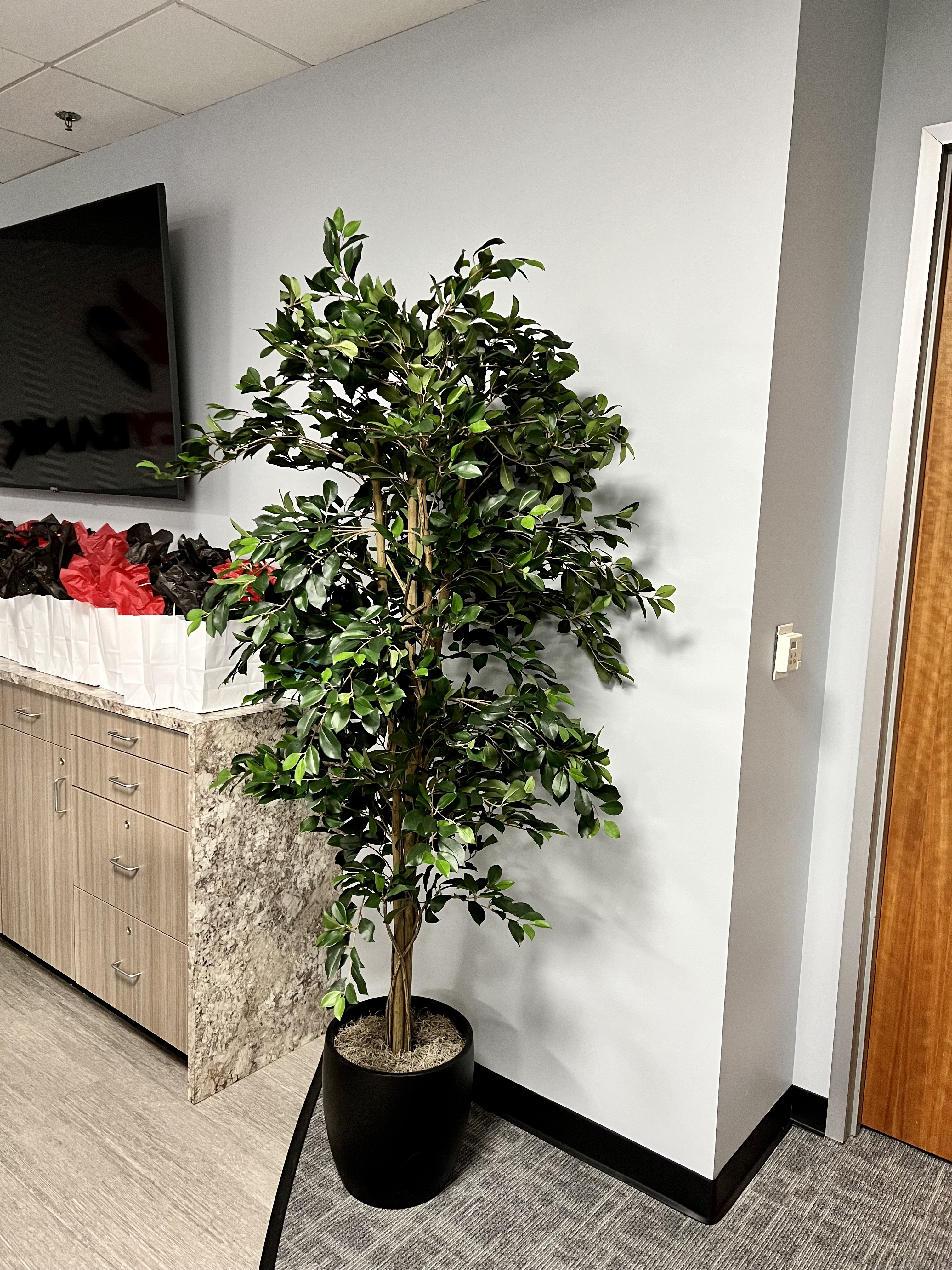 Artificial Plants – Temecula Plantscape